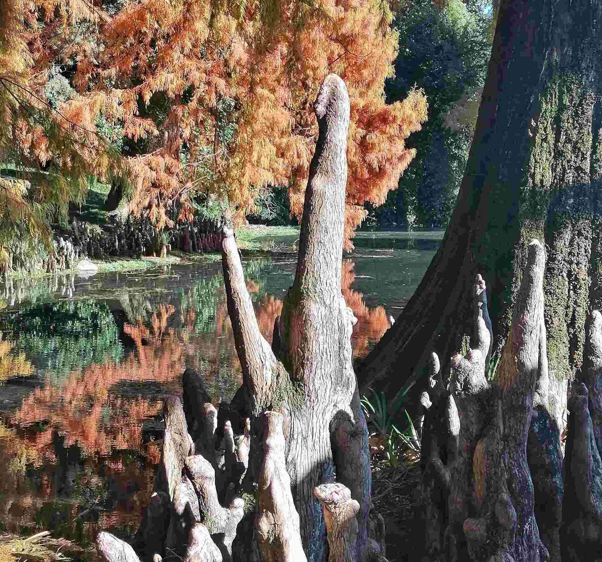 Parco Rossi Vicenza e il suo Acquario - Pasion Viajes